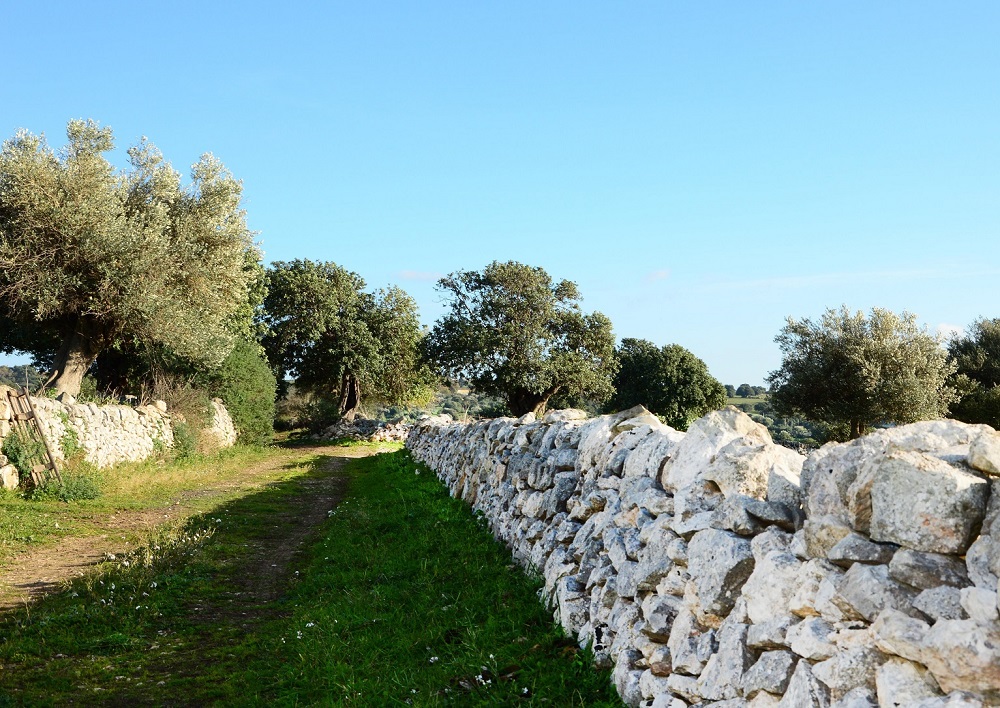 La pietra a secco di Pantelleria nel registro nazionale dei paesaggi rurali
